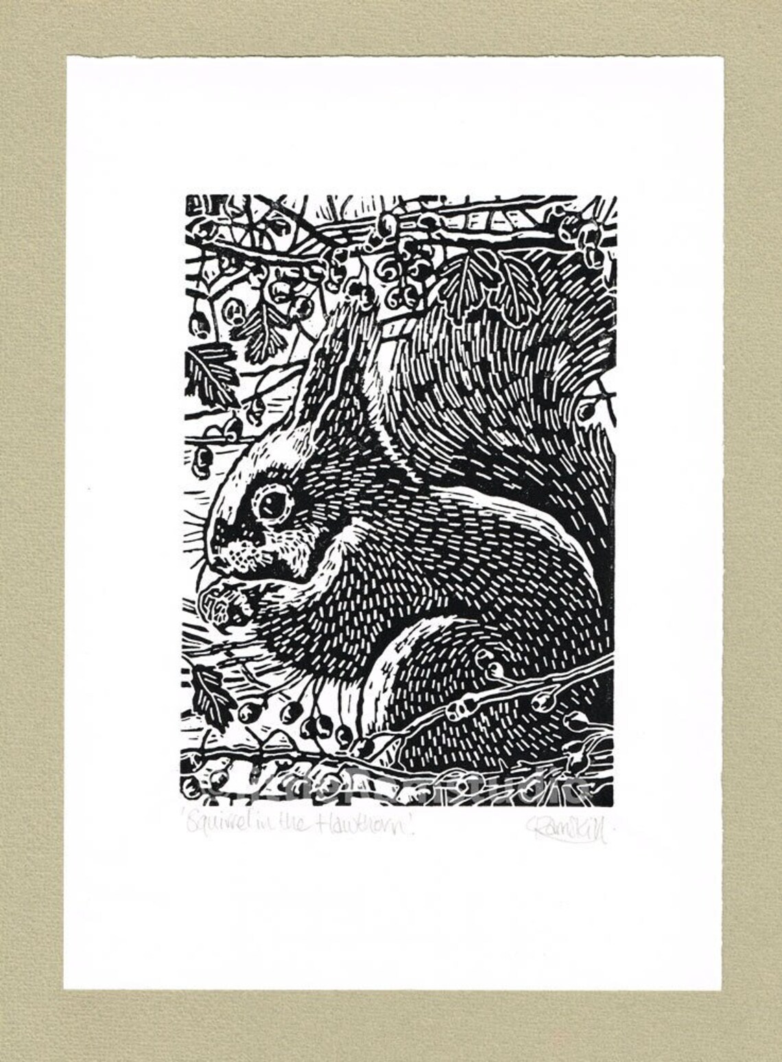 Squirrel Art Print Squirrel Linocut in Black Ink Original - Etsy