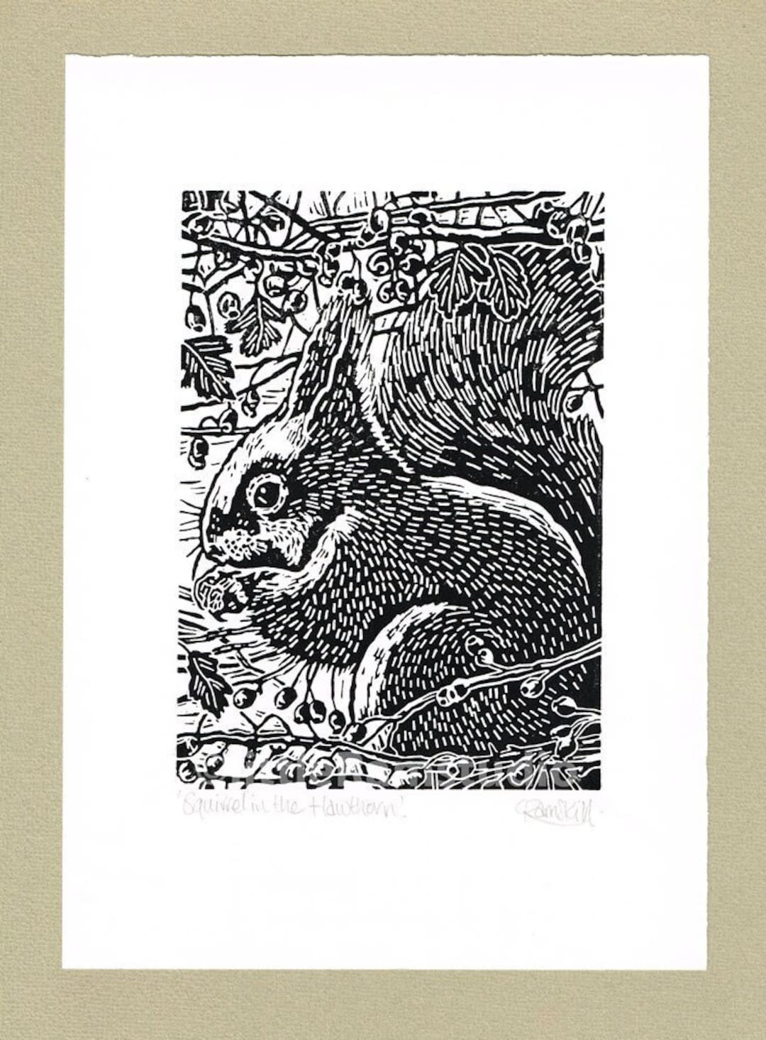 Squirrel Art Print - Squirrel Linocut in Black Ink Original Hand-pulled ...