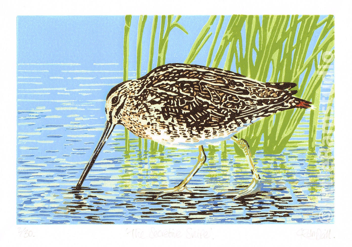 Common Snipe Wading Bird Limited Edition Linocut Reduction Print ...