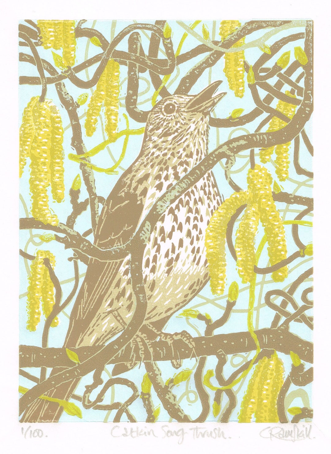 Thrush Print, Song Thrush Linocut Print, Song Thrush Limited Edition ...