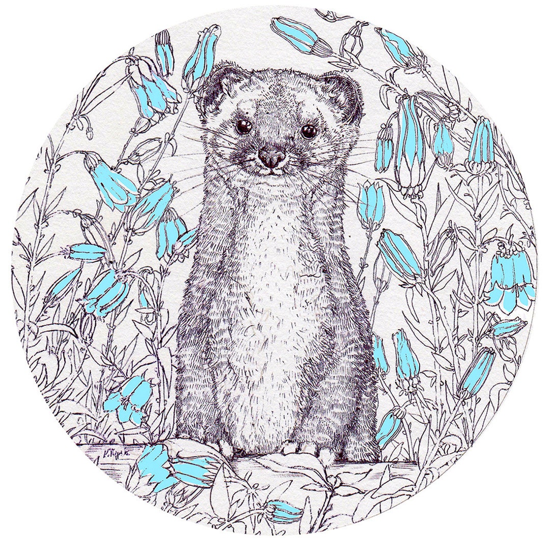 Cute Stoat Print Illustration Home Decor Gift Idea - Etsy