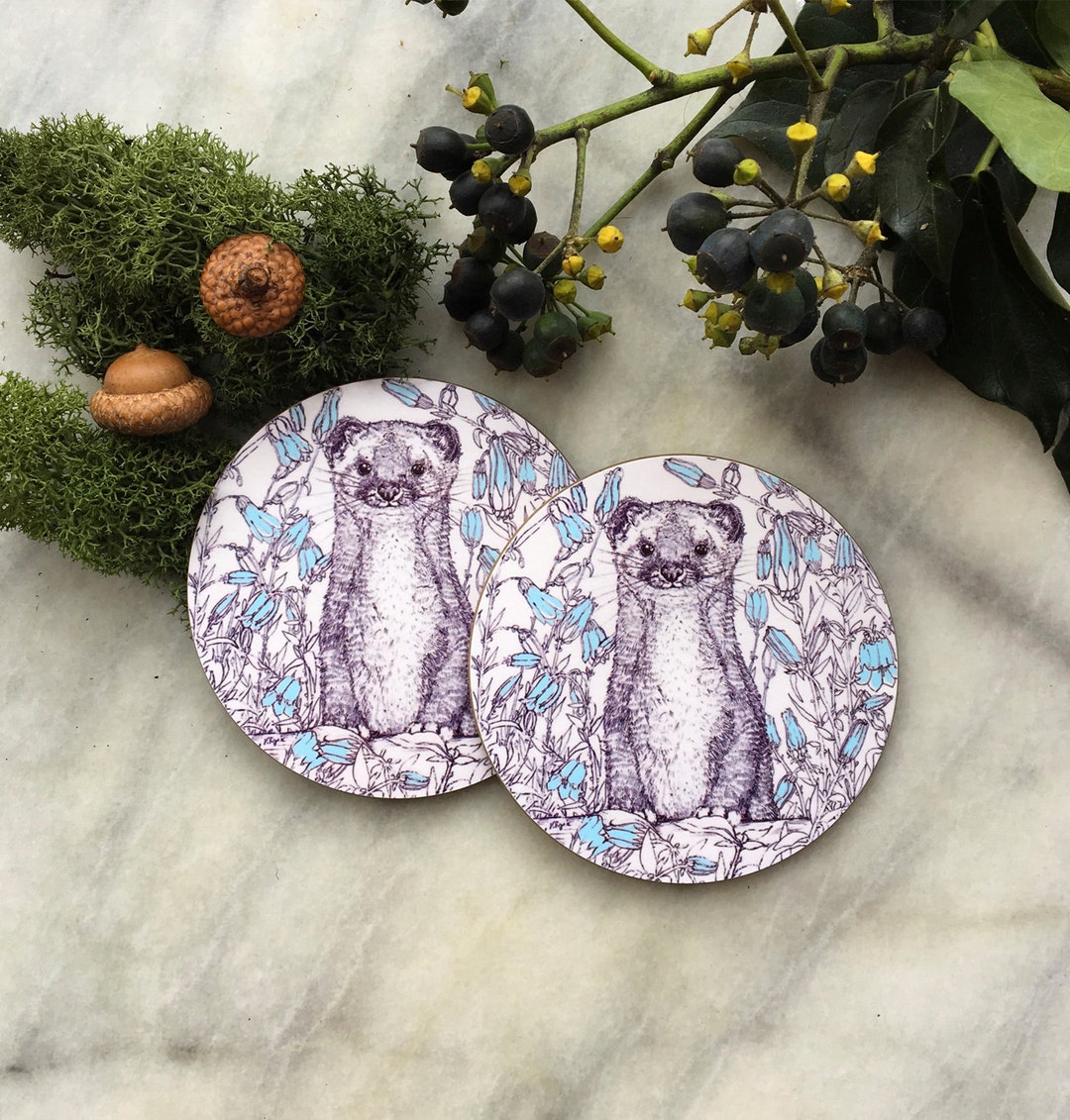 Cute Stoat Animals Drawings 9 Cm Round Coasters - Etsy