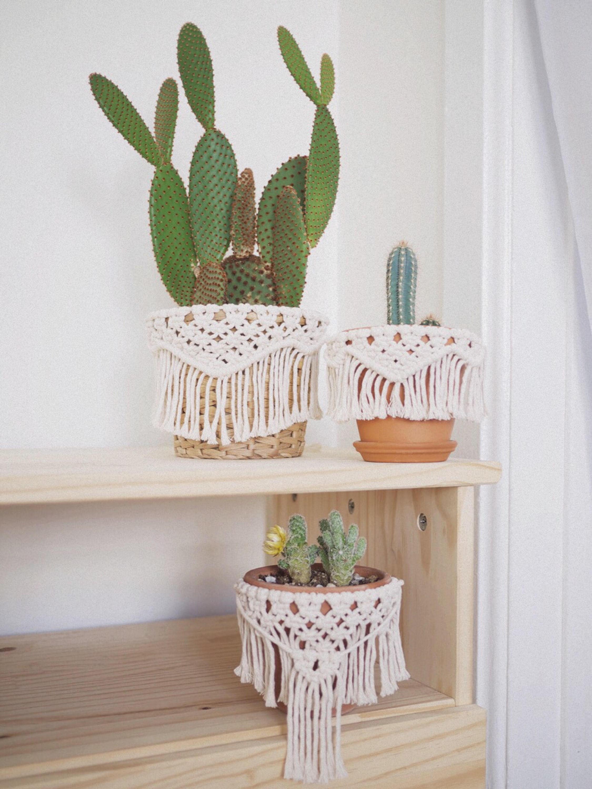 Arden / macrame planter wrap / macrame home decor / macrame | Etsy