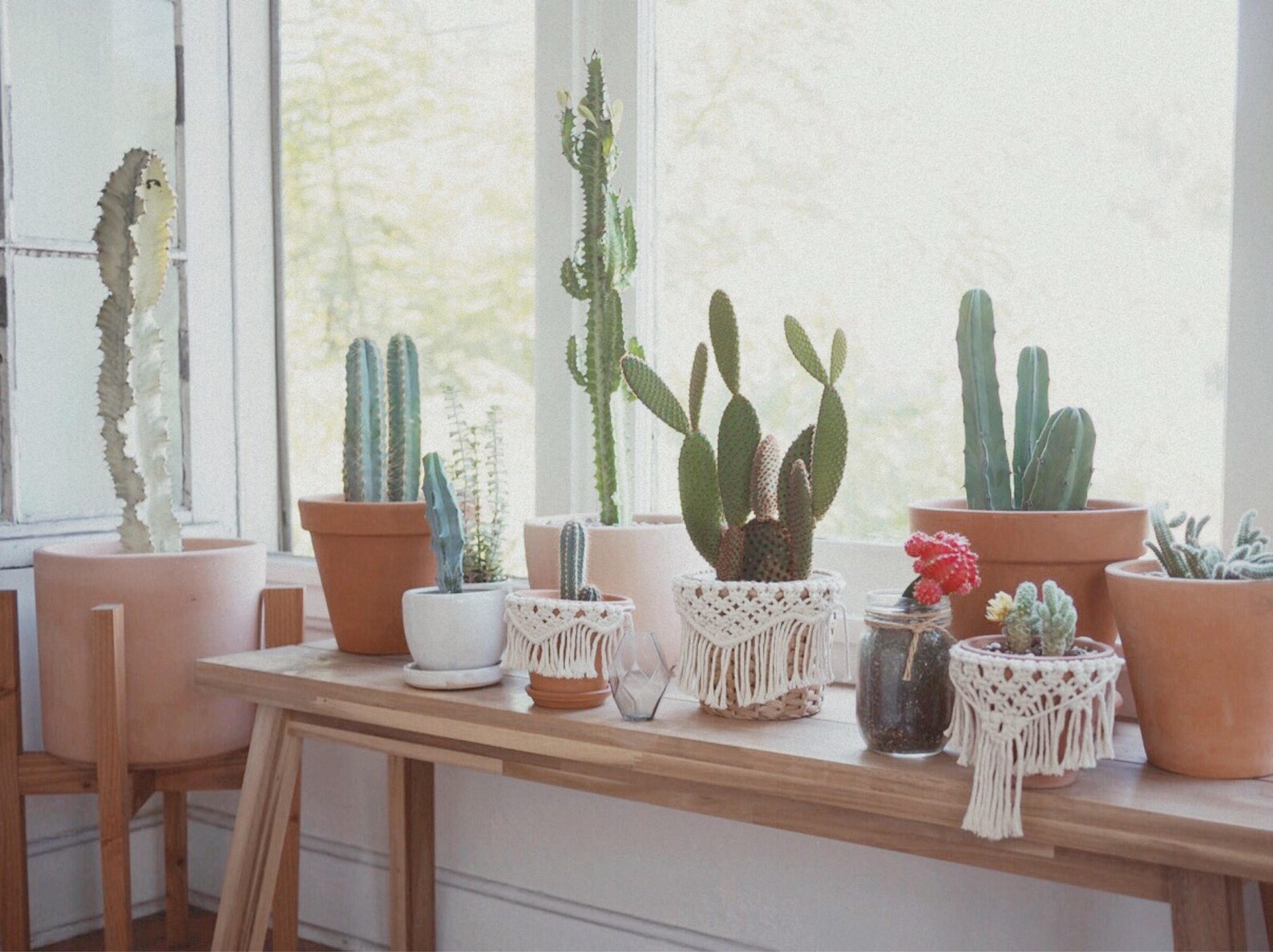 Arden / Macrame Planter Wrap / Macrame Home Decor / Macrame | Etsy