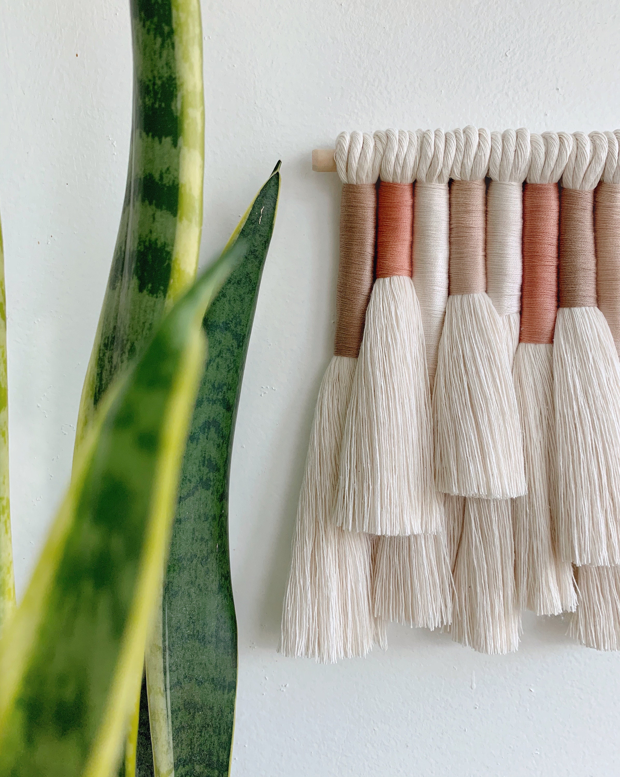 Mini juniper / macrame wall hanging | Etsy