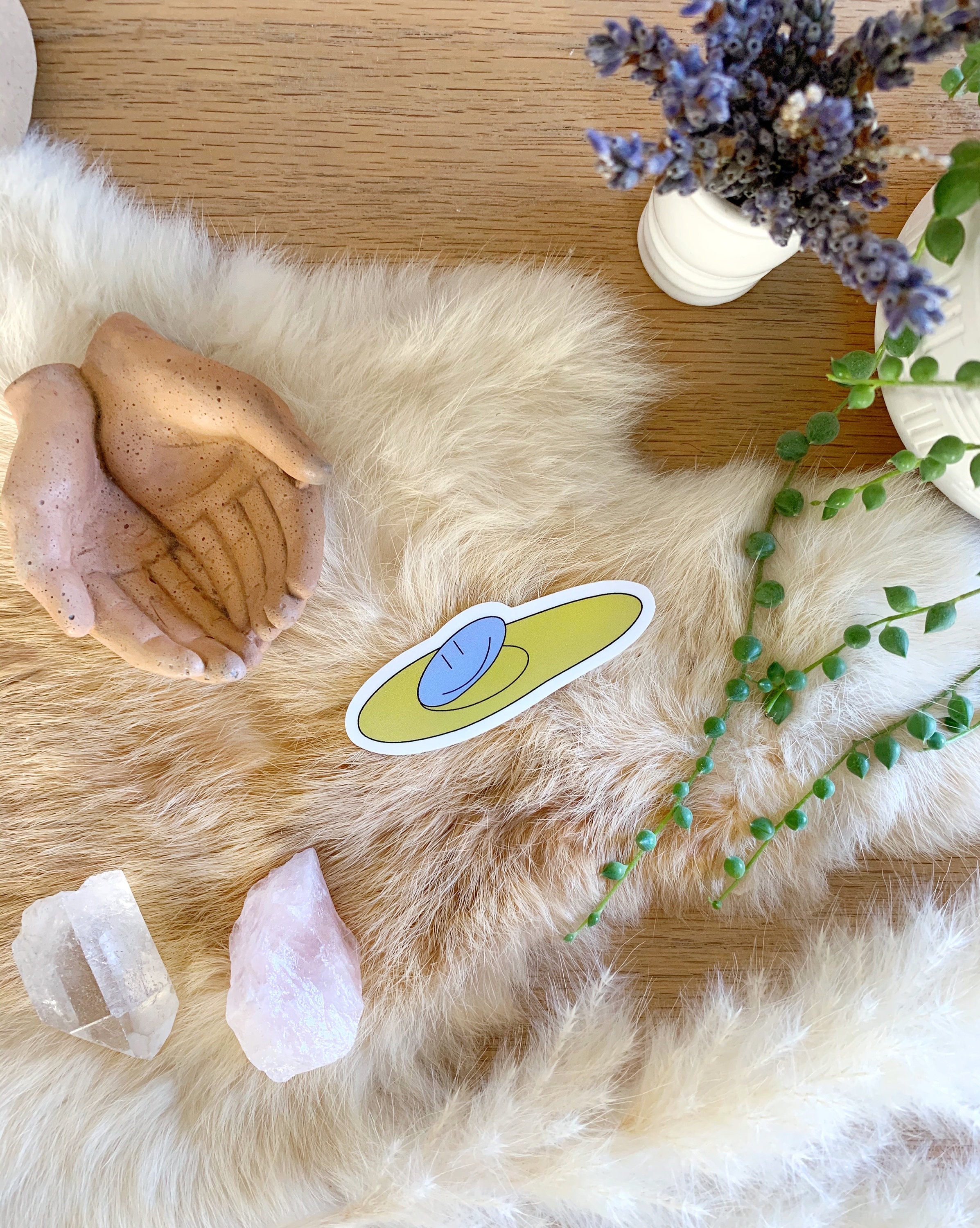 Avocado Sticker Pack - Etsy