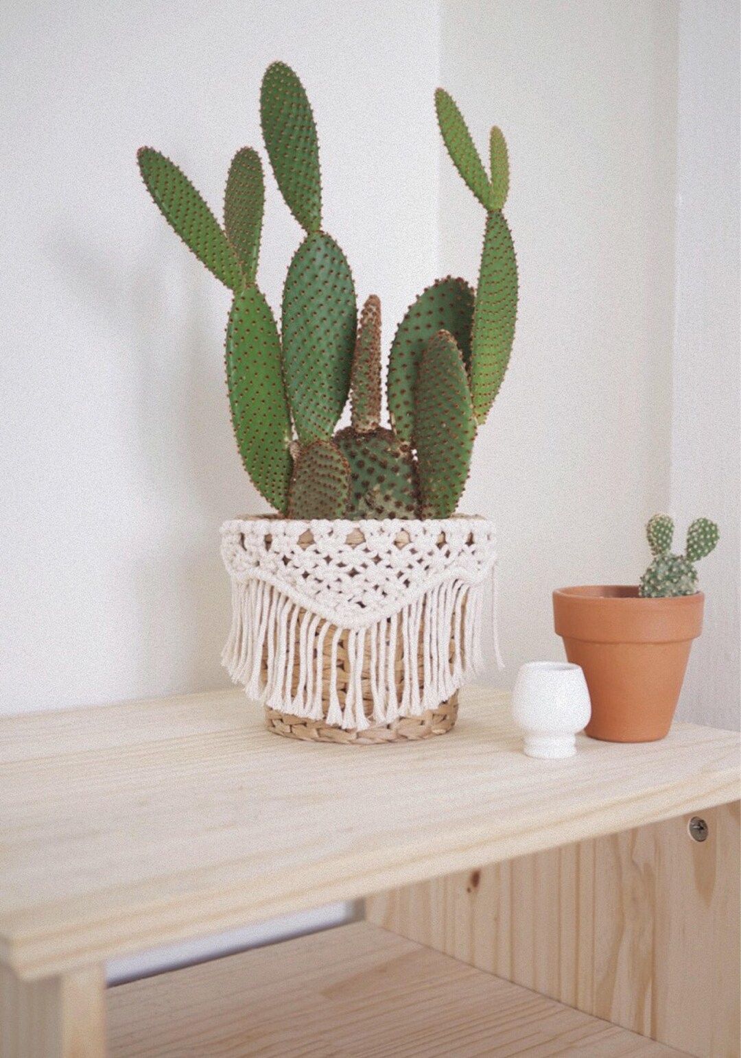 Arden / Macrame Plant Wraps / Macrame Home Decor / Macrame Plant ...