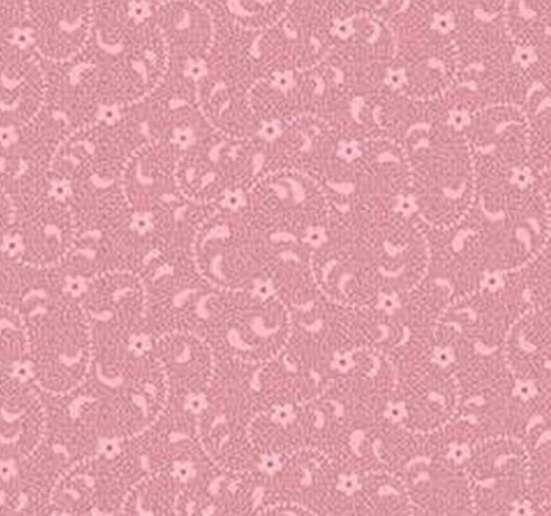 Floret, Shell - Etsy