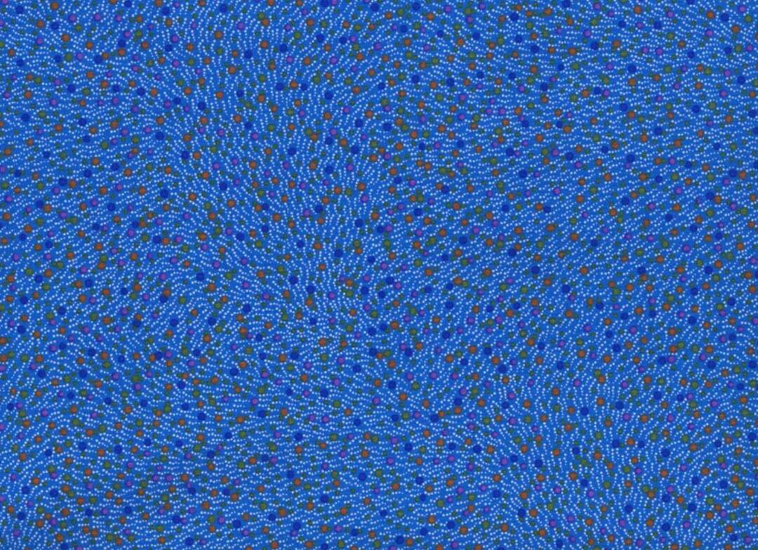 Bush Worm, Blue, an Authentic Aboriginal Fabric - Etsy