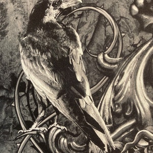 Floral Wicked Black Cat Panel - Etsy