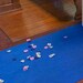 Royal Blue Aisle & Event Runner 50 Ft L X 38 W Puncture Resistant Free ...