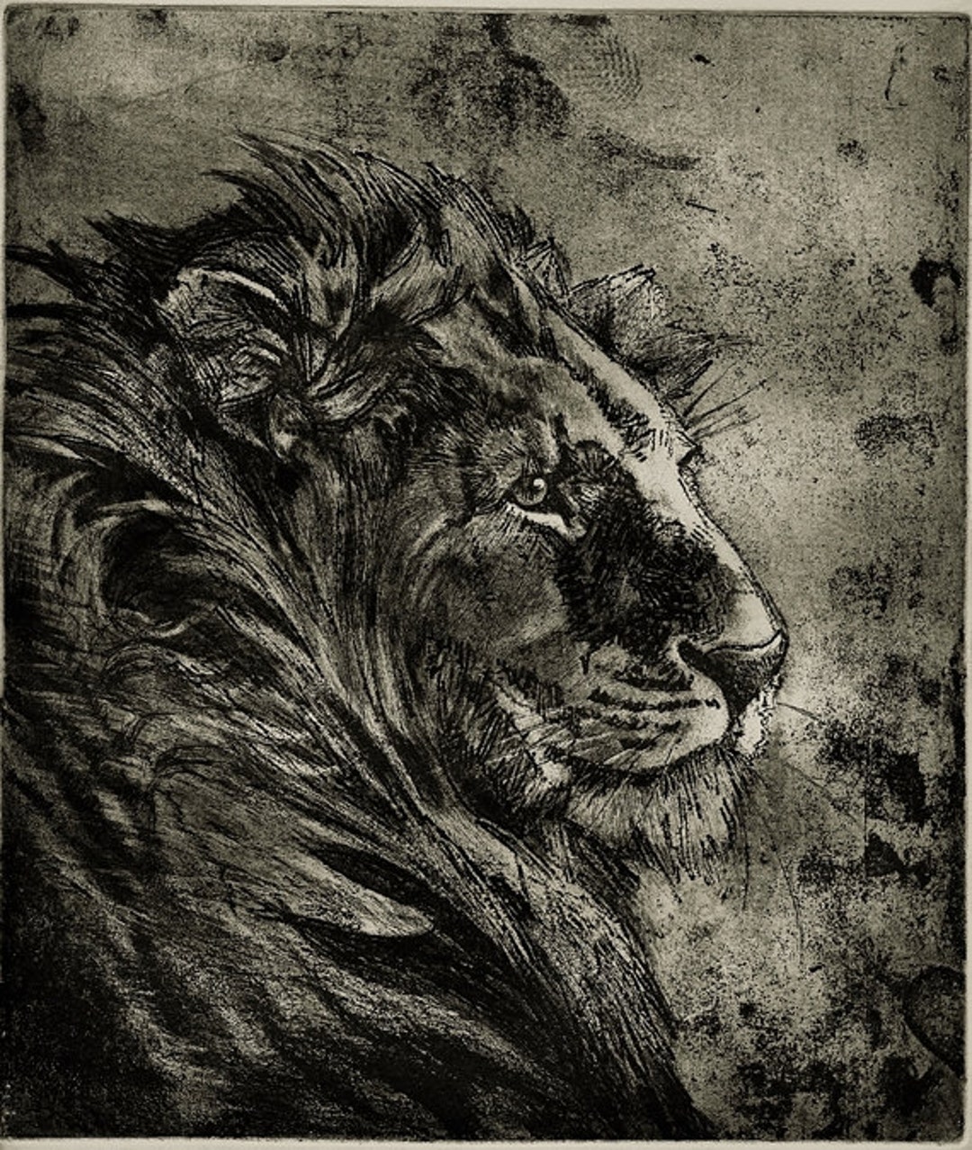 Lion Etching - Etsy