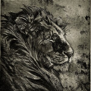 Lion Etching - Etsy