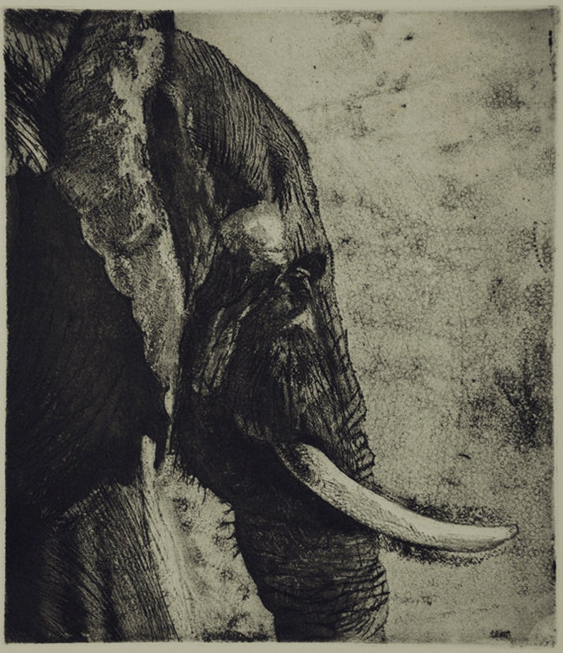 African Elephant Etching - Etsy