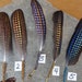 Hat Feather .:. One Painted Feather for Your Hat//goose - Etsy