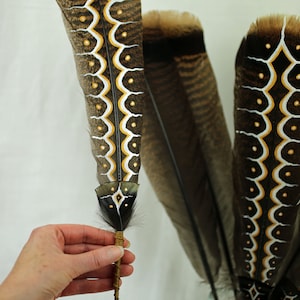 Maya Stars .:. One Painted Feather Fan//turkey Feather//for Smudging ...