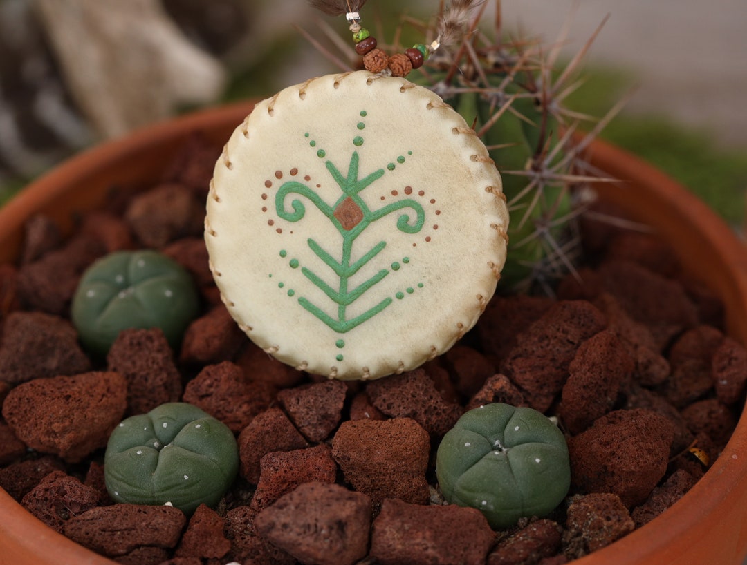 Plant Spirit.:. Shaker in Deer Rawhide//palm Rattle/ Instrument/shaman ...