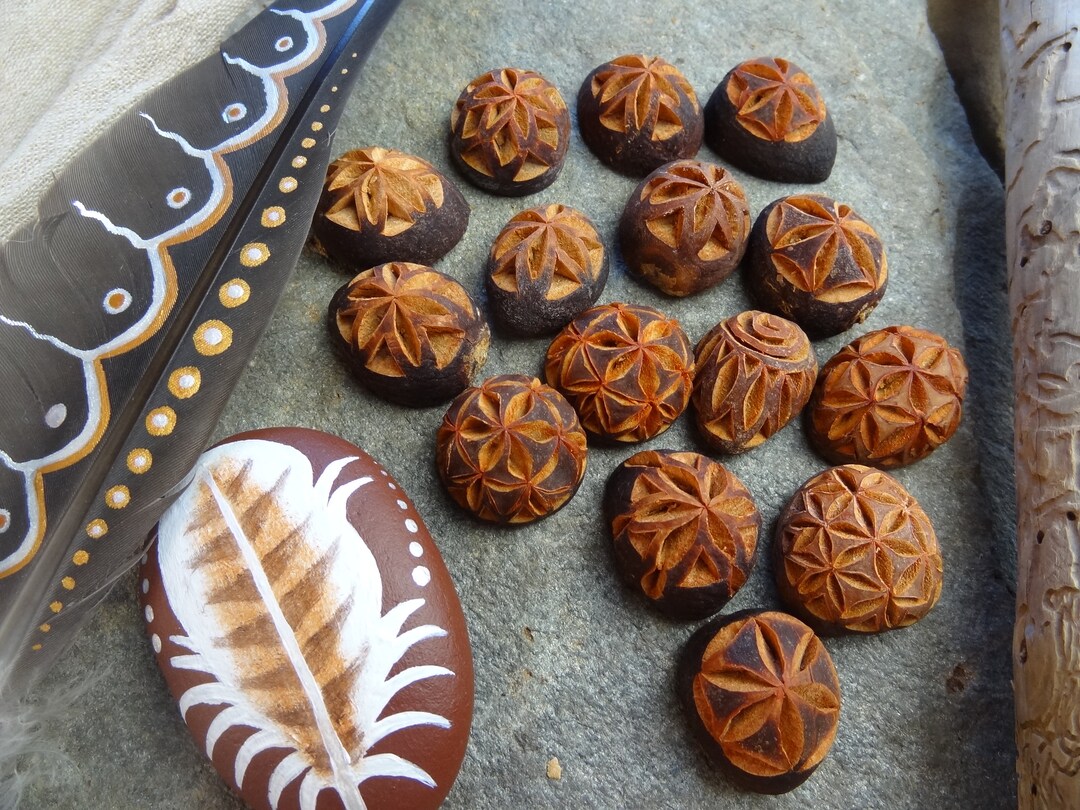 Altar.:. 5 Carved Avocado Seeds/ Gifts Love Friendship Talismans ...