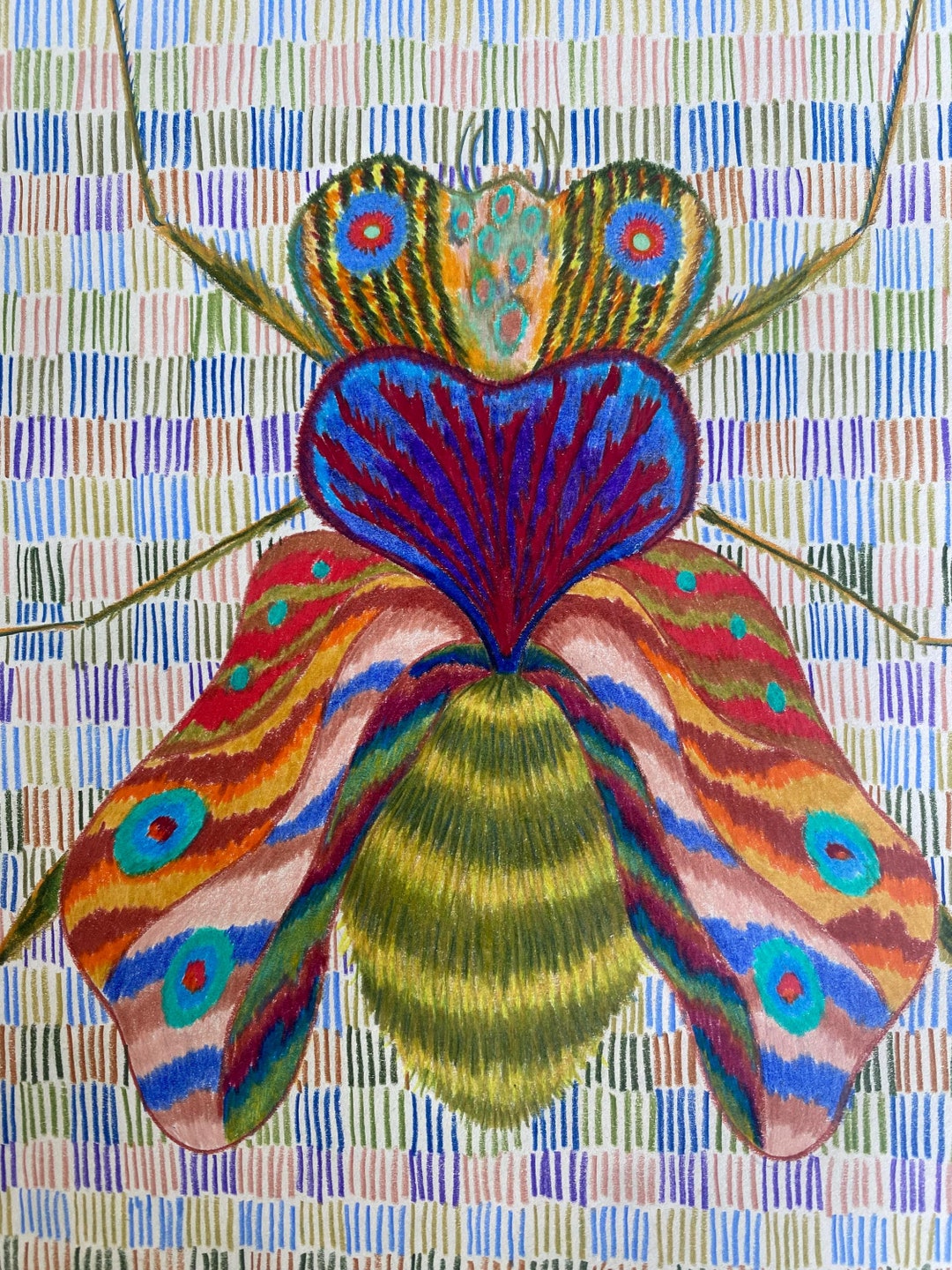 Insect Original Coloured Pencil Drawing - Etsy