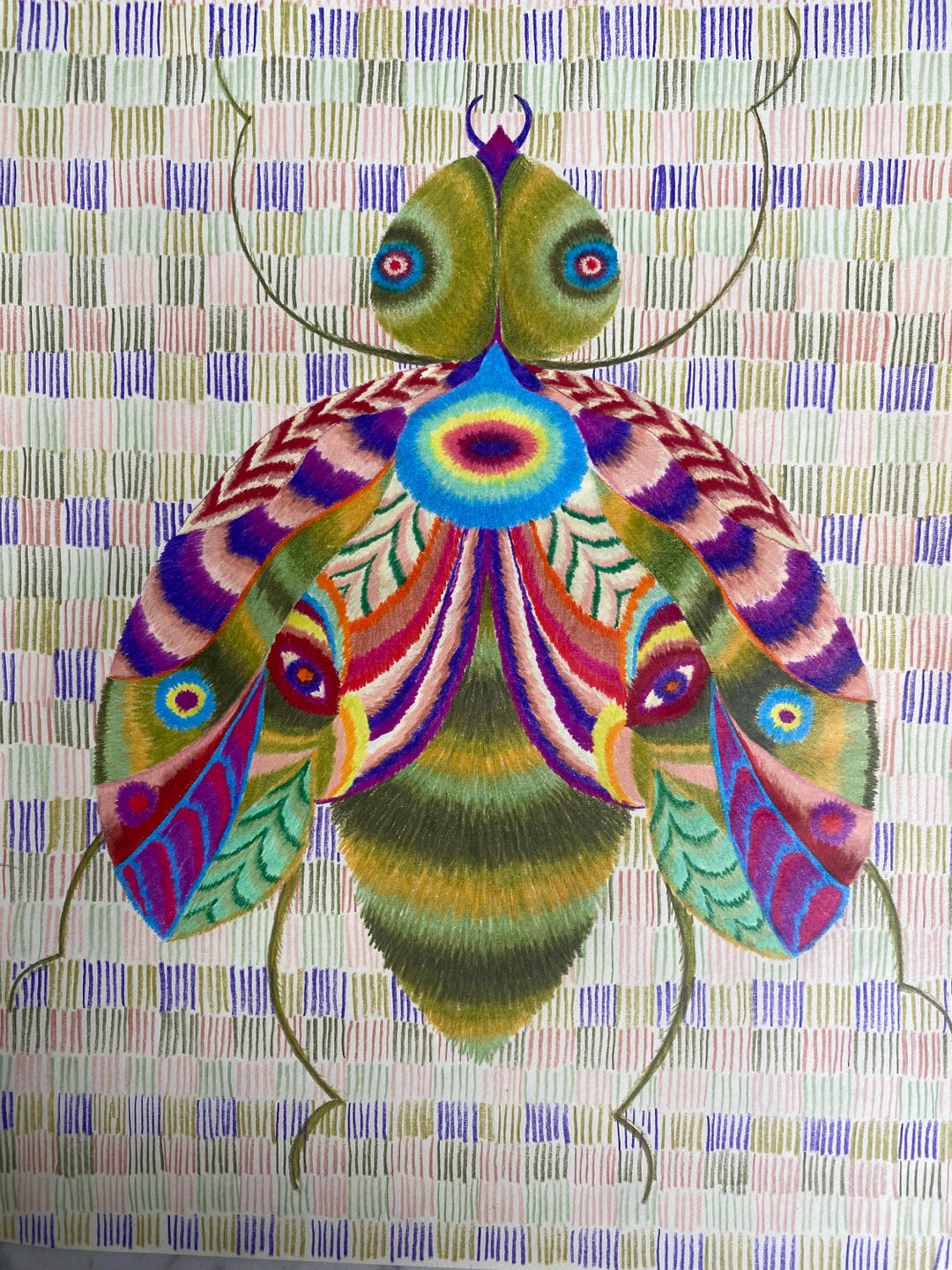 Insect Coloured Pencil Drawing - Etsy