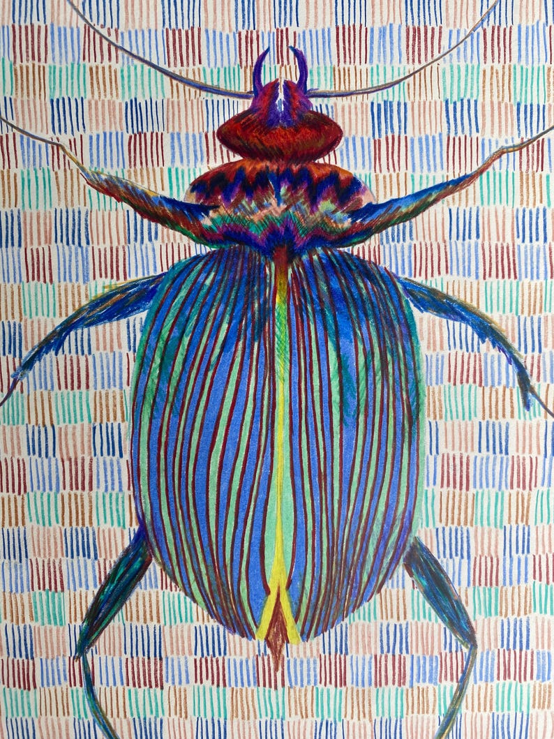 Insect Coloured Pencil Drawing - Etsy
