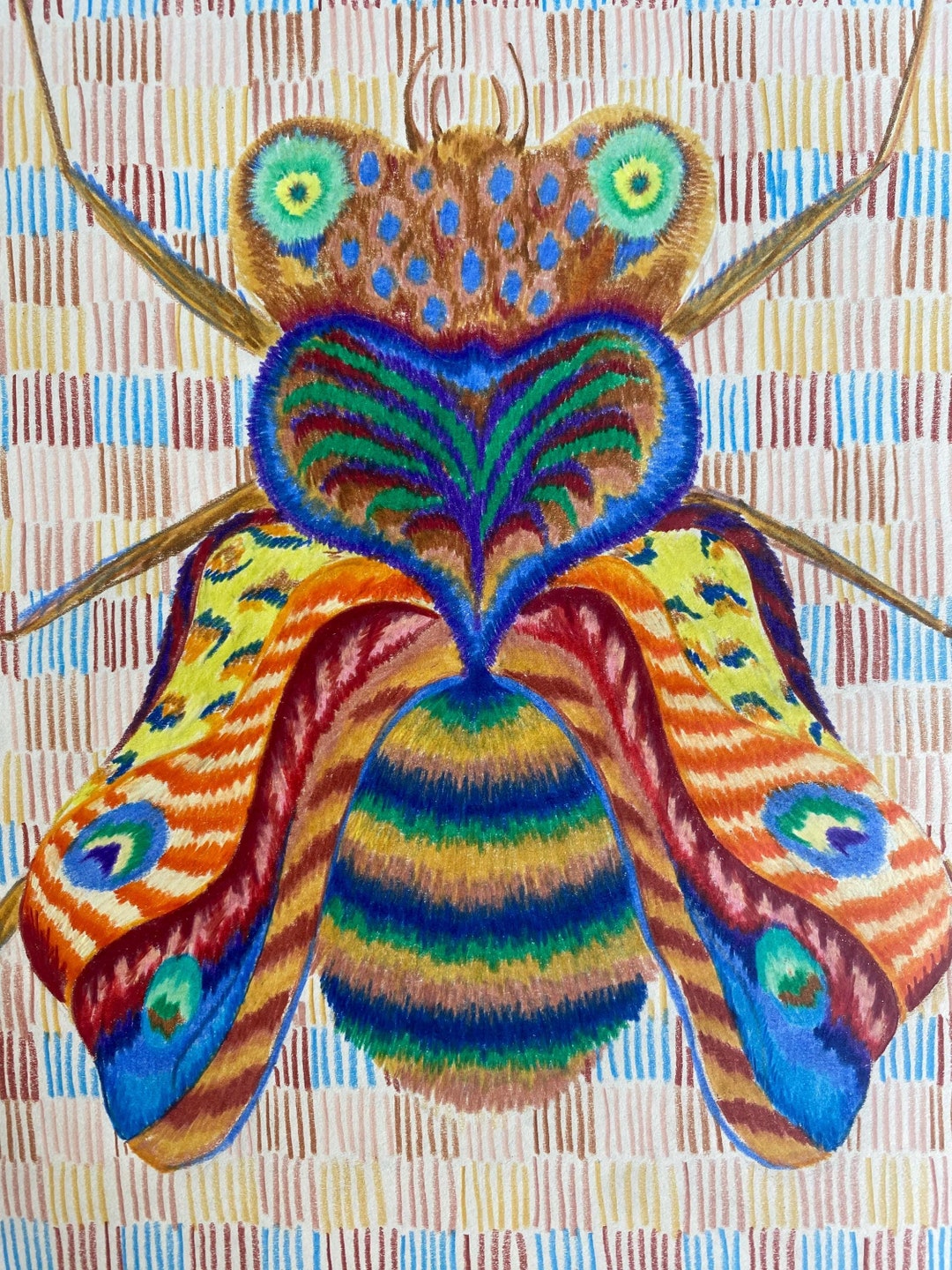 Insect Colour Pencil Drawing - Etsy