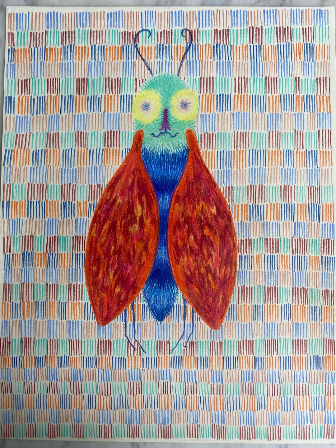 Insect Colour Pencil Drawing - Etsy