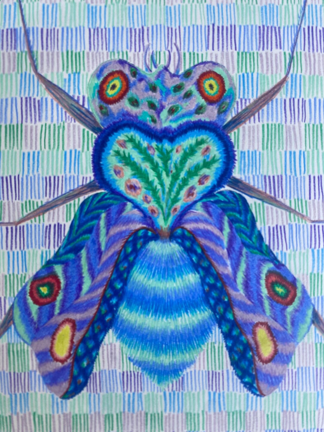 Insect Coloured Pencil Drawing - Etsy