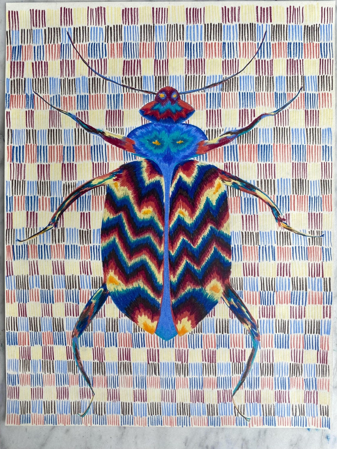 Insect Original Coloured Pencil Drawing - Etsy