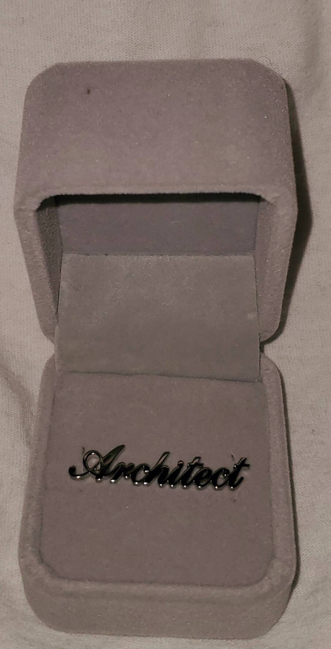 Architect Lapel Pin - Etsy