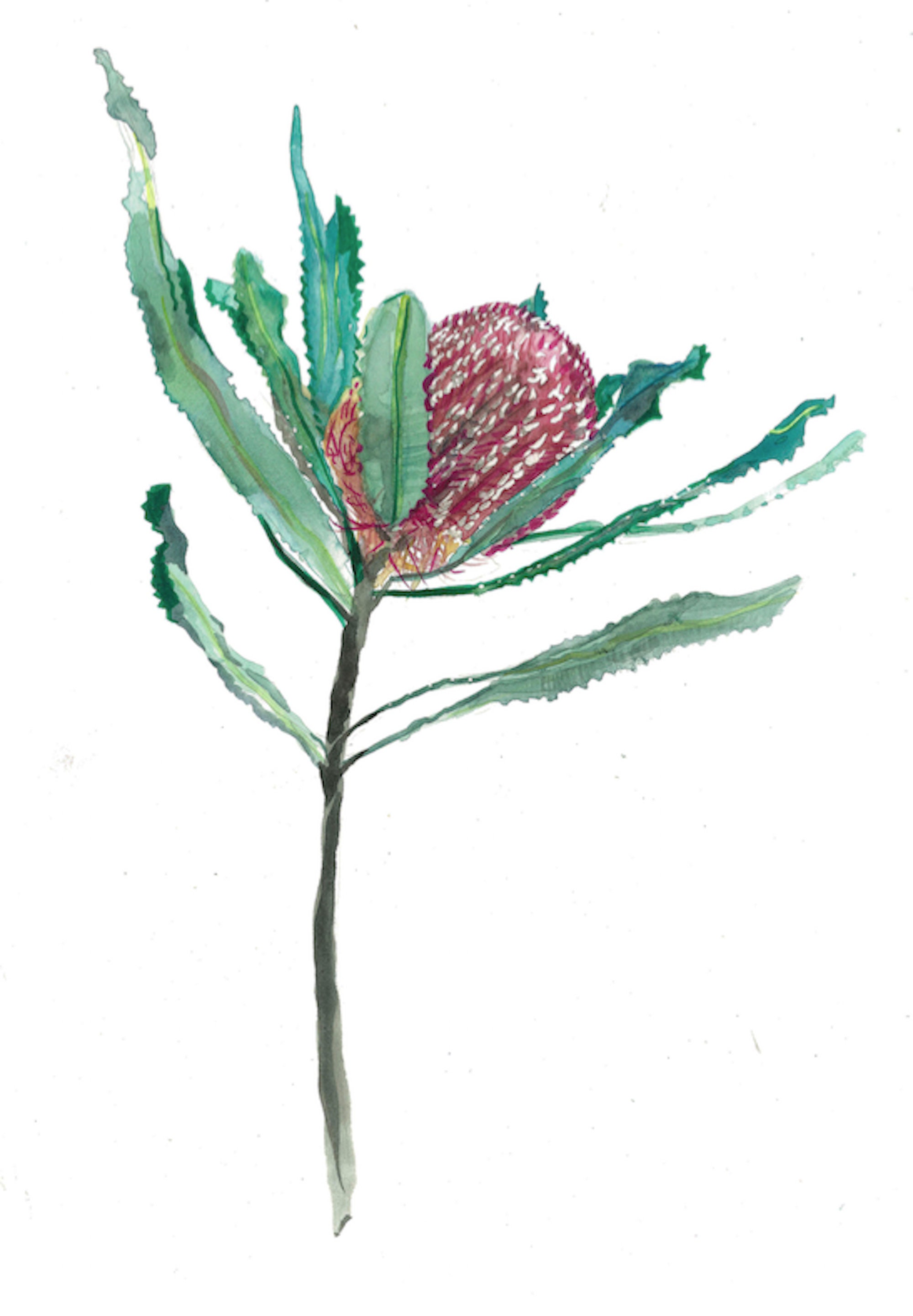 Painting Watercolor Art & Collectibles Original Artwork Australian ...