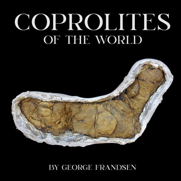Coprolite - Etsy