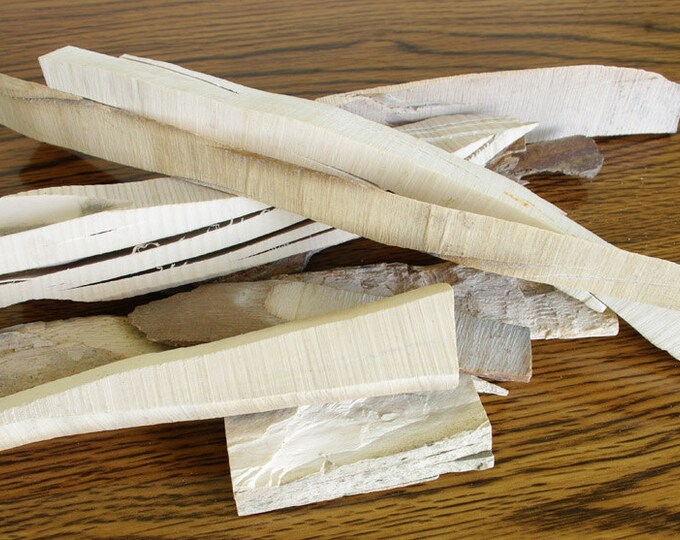 1.20lbs of Mammoth Ivory Scrap Pieces - Etsy