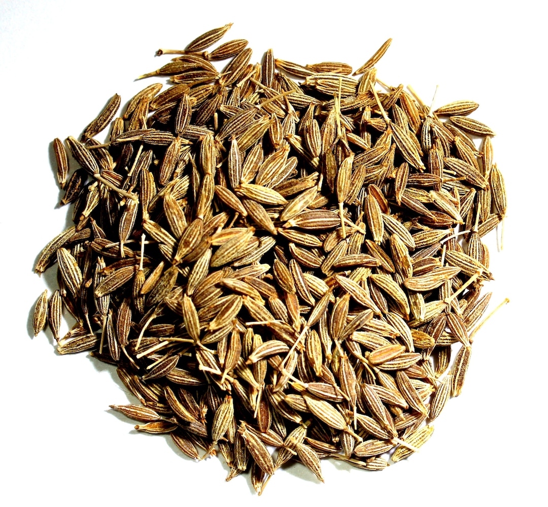 Cumin Seeds - Cuminum Cyminum - Whole - Etsy
