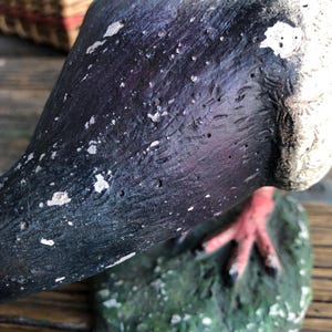 Concrete Painted Pigeon Figurine , Vintage Pigeon , Garden Decor , Bird ...