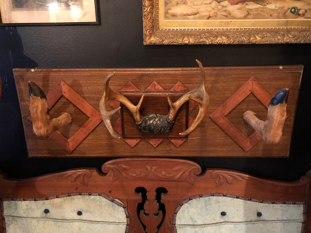 Deer Hoof and Antler Coat Hook Deer Hoof Wall Decor - Etsy