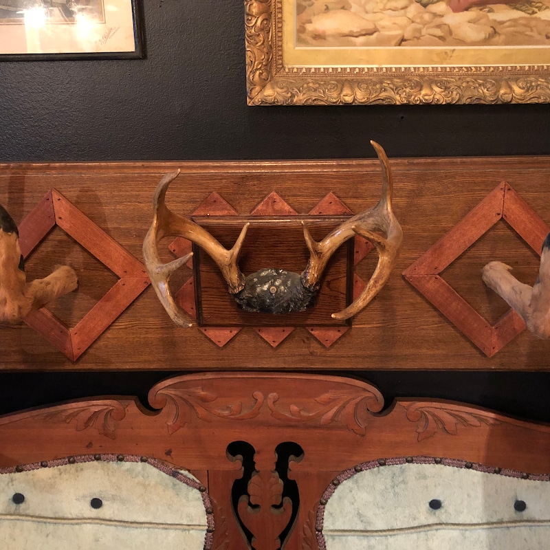 Antler Coat Rack - Etsy