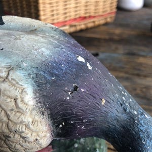 Concrete Painted Pigeon Figurine , Vintage Pigeon , Garden Decor , Bird ...