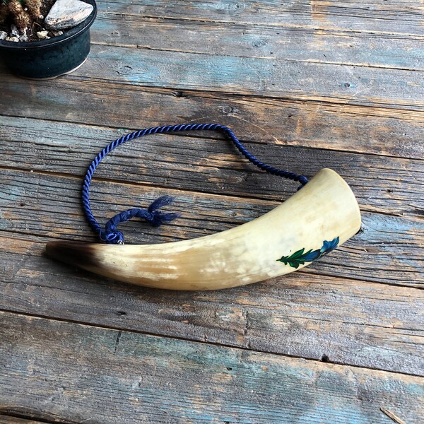 Cow Horn Bugle - Etsy