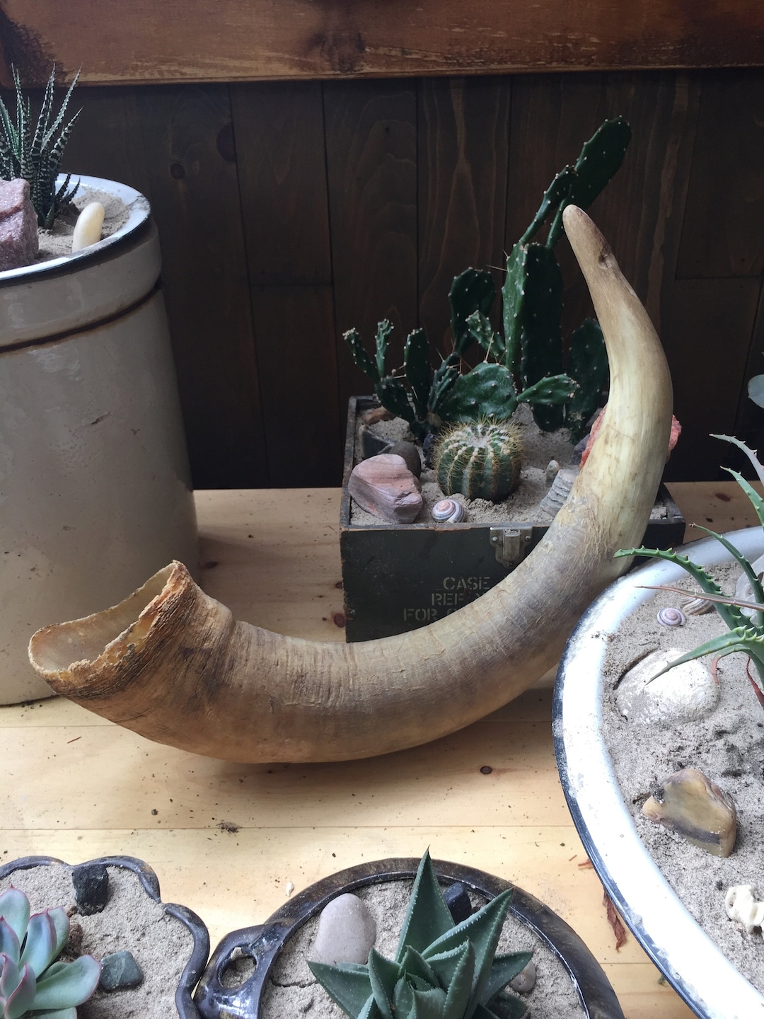 Vintage Genuine Longhorn , Authentic Animal Horn , Southwestern , Ranch ...