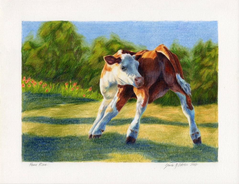 Hereford Cow Calf Colored Pencil Print 8x10 - Etsy