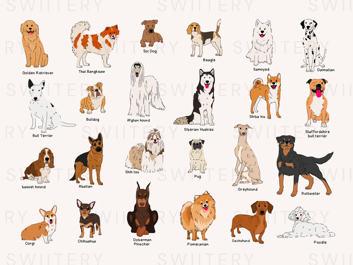 Dog Breeds Clipart PNG | Puppy Pet Animals Graphics for Dog Lover ...