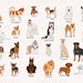 Dog Breeds Clipart PNG | Puppy Pet Animals Graphics for Dog Lover ...