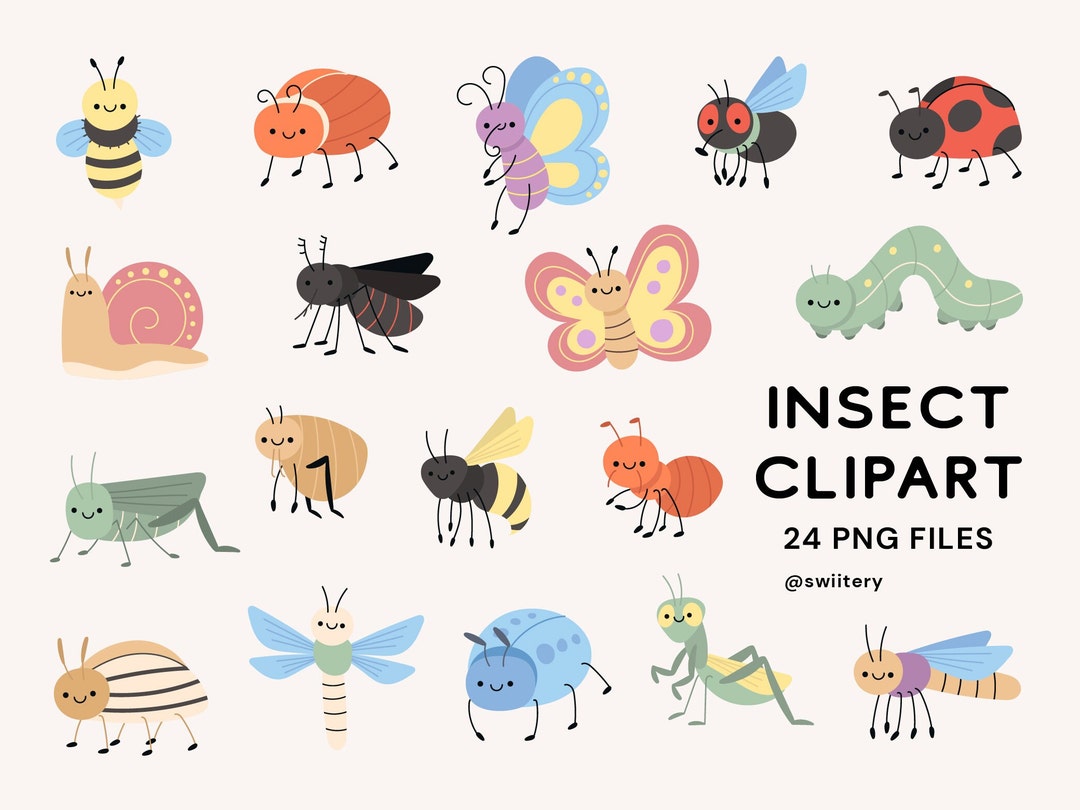Bug & Insect Clipart Set PNG, Animal Illustration | Digital Instant ...