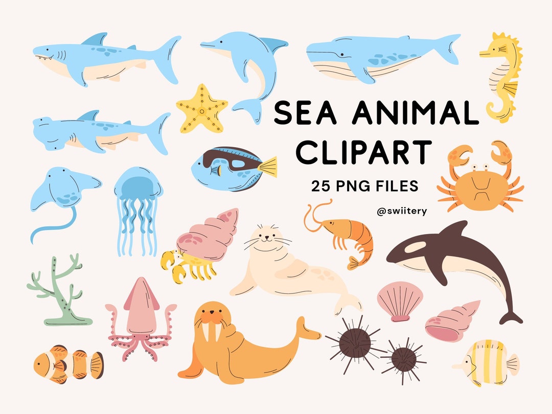 Sea Animal Clipart Set PNG, Ocean Marine Illustration | Digital Instant ...