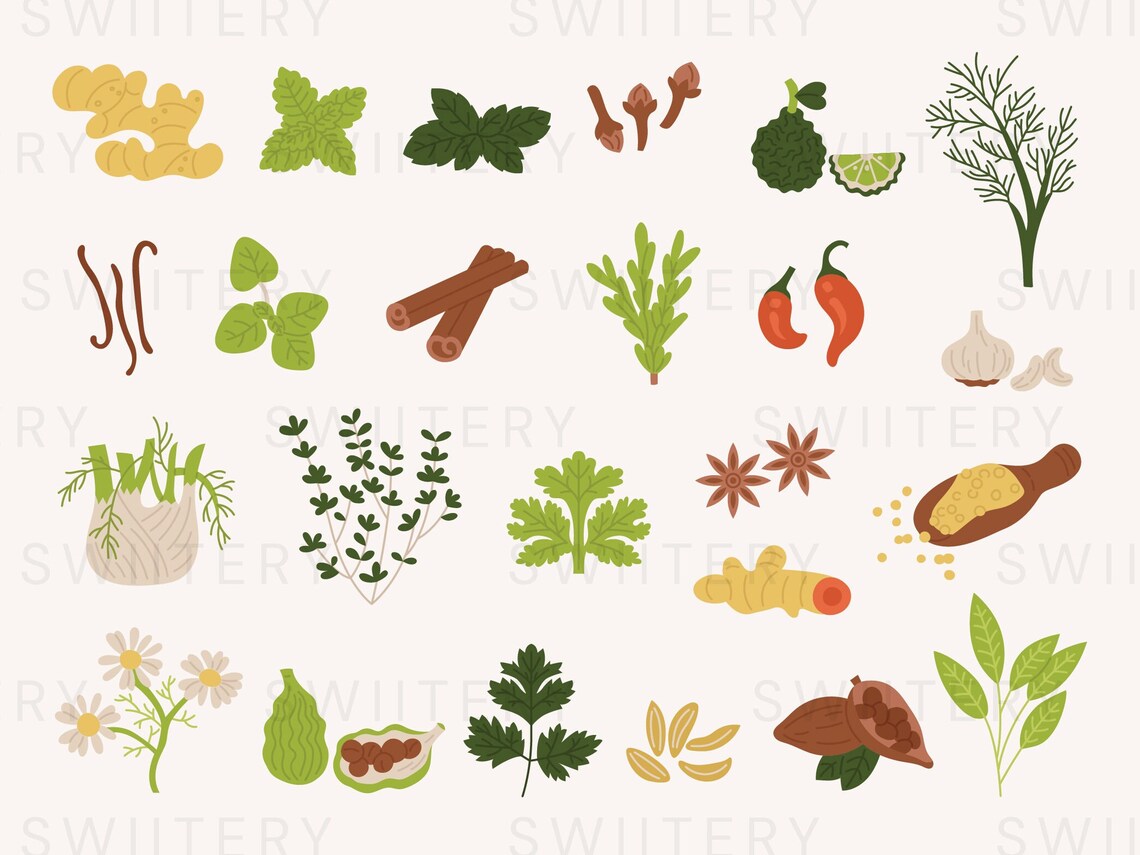 Herb & Spice Clipart Set PNG, Dried Seed Plant Food Illustration ...