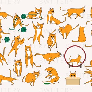 Cat Gestures Clipart PNG | Orange Cat Graphics for Cat Lover | Kitten ...