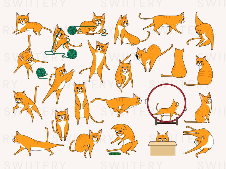 Cat Gestures Clipart PNG | Orange Cat Graphics for Cat Lover | Kitten ...