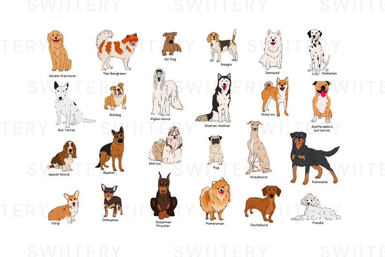 Dog Breeds Clipart PNG Puppy Pet Animals Graphics for Dog - Etsy