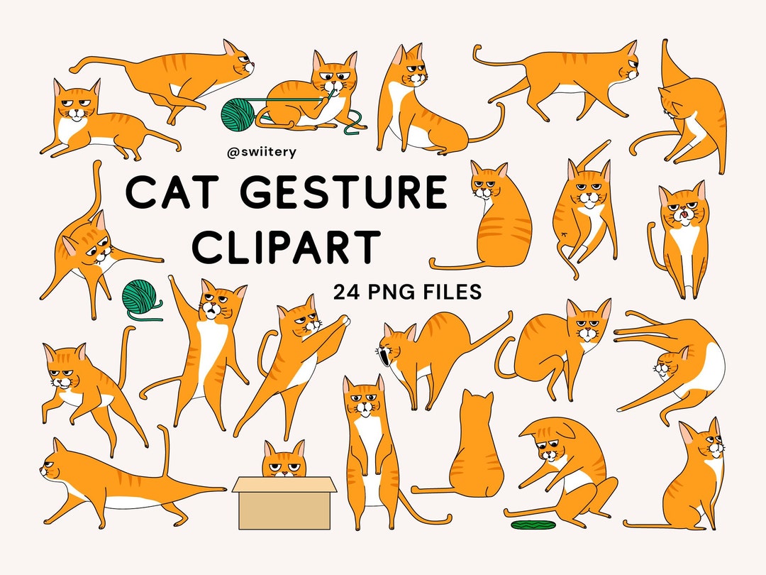 Cat Gestures Clipart PNG | Orange Cat Graphics for Cat Lover | Kitten ...